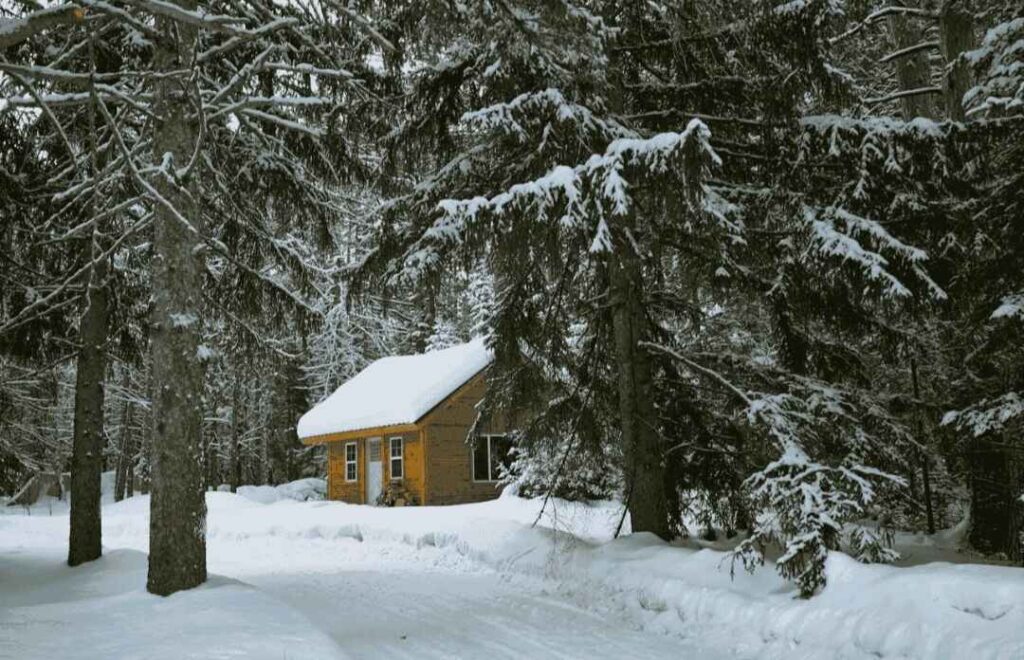 What are The Best Alternatives to Onelove.al?